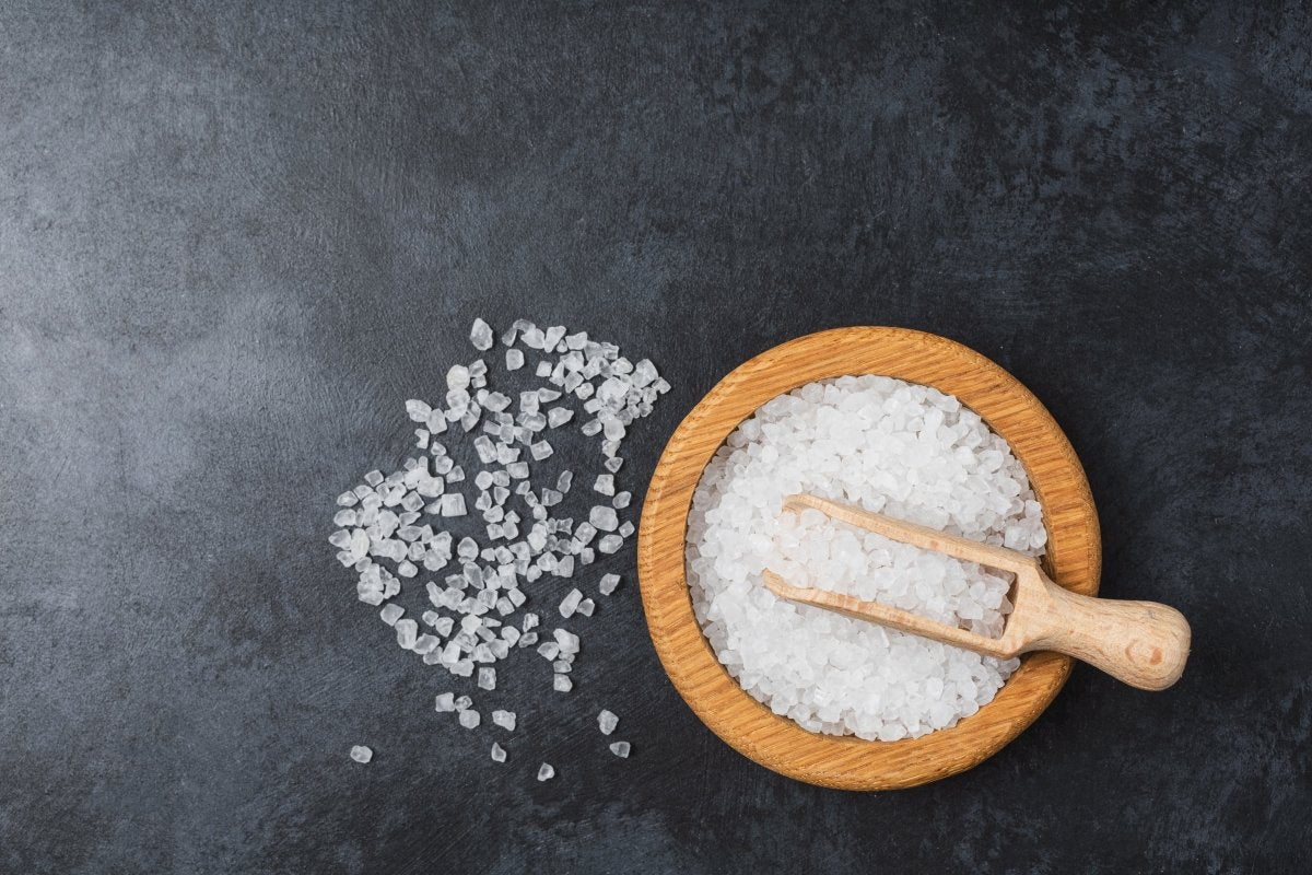 Why You Should Never Put Any Type of Salt (Including Epsom Salt) in ...