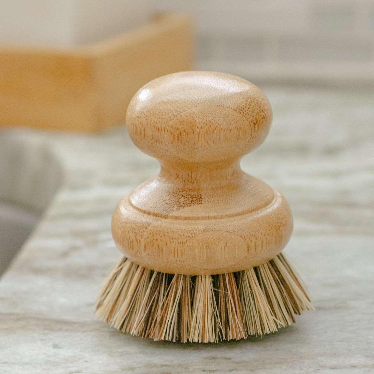 CASA AGAVE™ Pot Scrubber Brush – Humble Suds